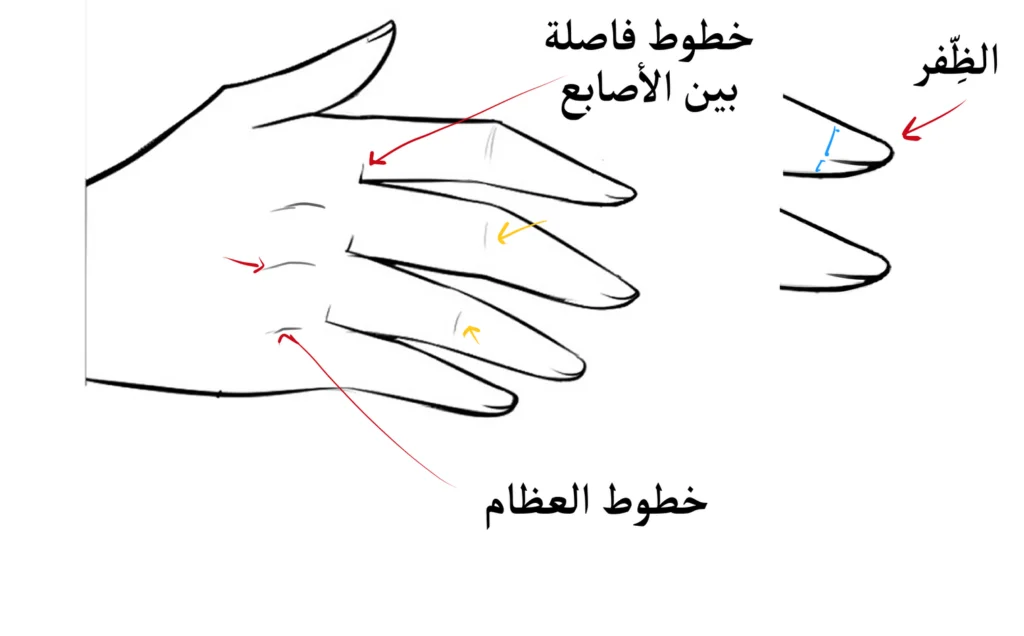 كيف تتقن رسم يد المانجا من الخلف بدقة - سمر ارت